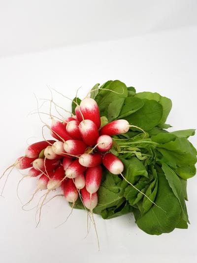 Wiesenland - Obst und Gemüse - Produktdetail Baby Radieschen NL 15 Bund ...